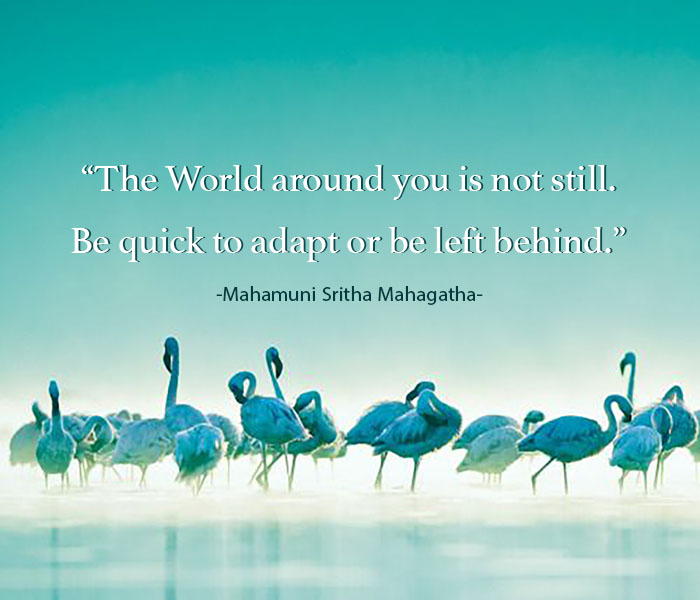 The world around you is not still. Be quick to adapt or be left behind ...
