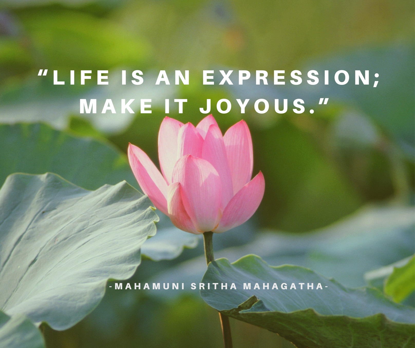 Life is an expression; make it joyous. - Official Website of Mahagathe ...